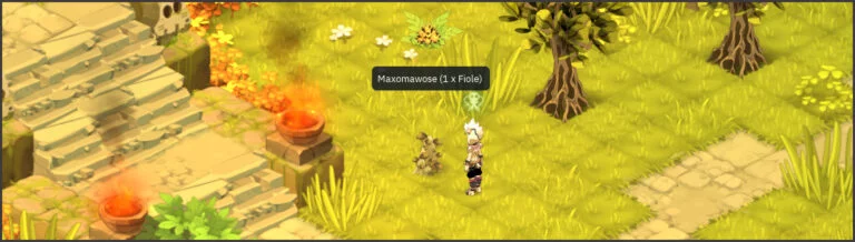 Île des Wabbits Niv.120 - MethodWakfu - Wakfu MMO